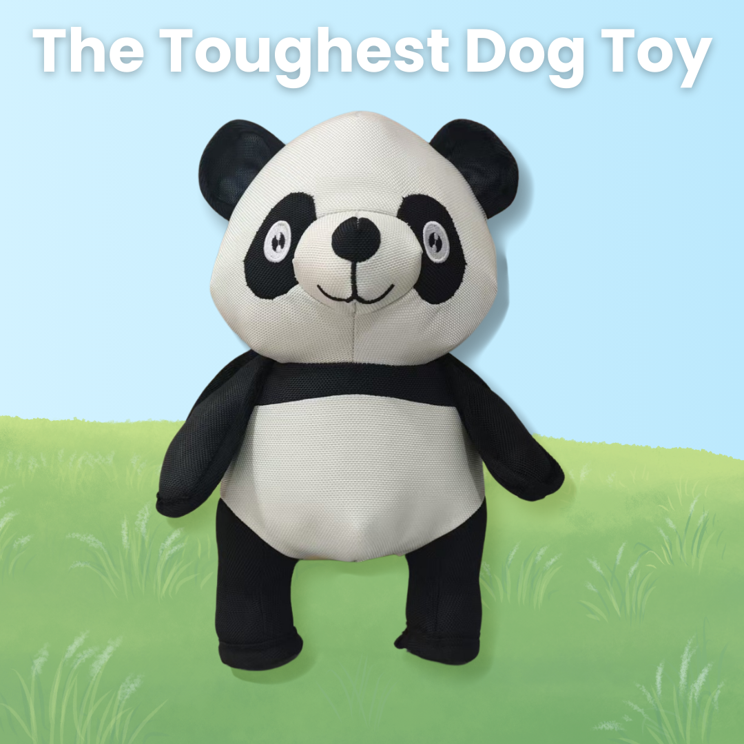 Iron Panda™ – Lumiqour