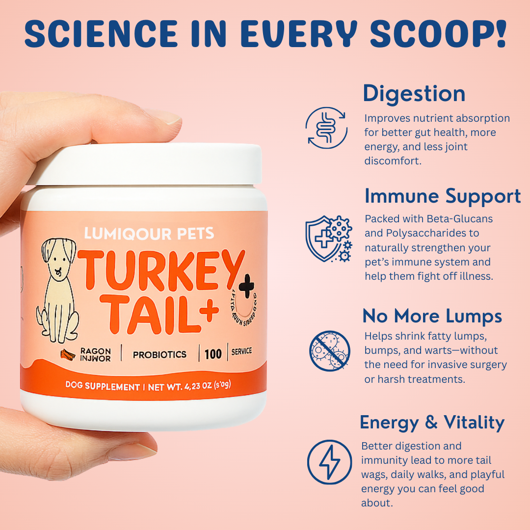 Turkey Tail Probiotic™ – Lumiqour